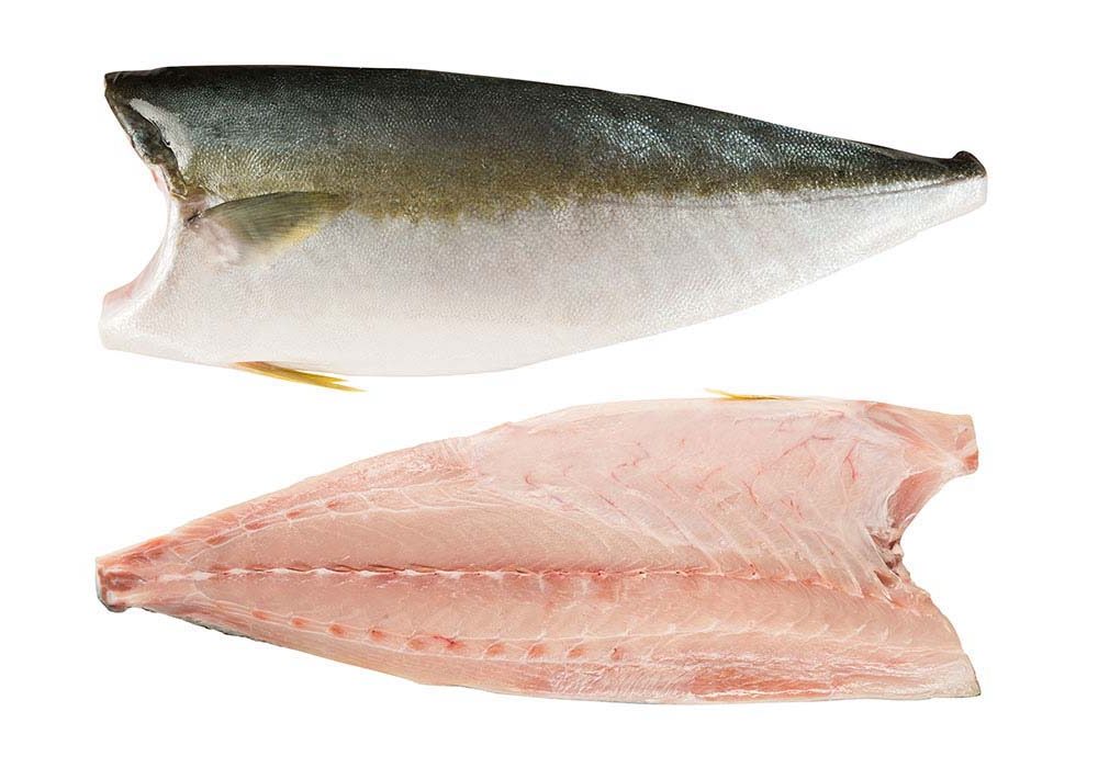 Frozen Hamachi Fillet - Mos Fresh Trading Sdn Bhd
