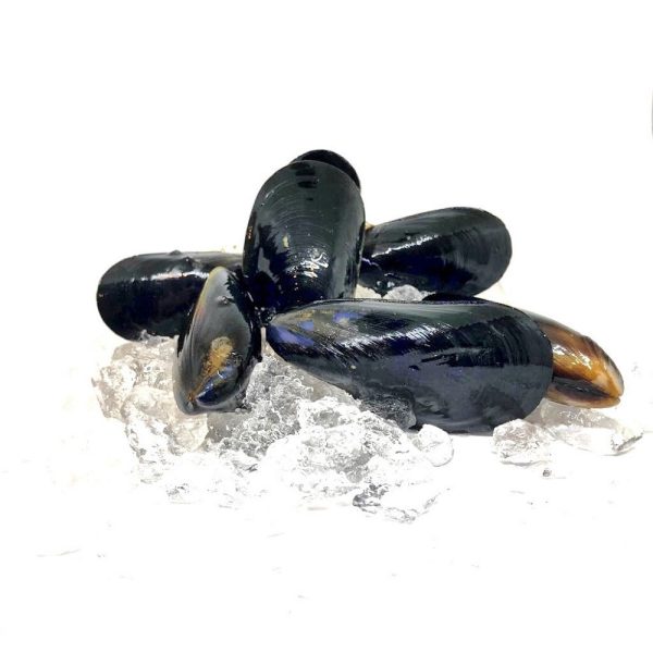 Frozen Full Shell Black Mussels - Mos Fresh Trading Sdn Bhd