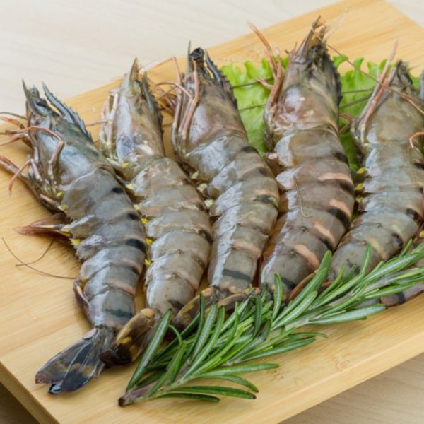 Frozen Black Tiger Prawn - Mos Fresh Trading Sdn Bhd