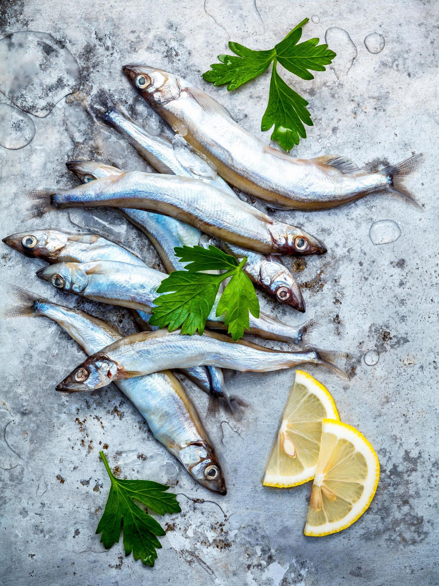 Frozen Shishamo (Capelin Fish) - Mos Fresh Trading Sdn Bhd