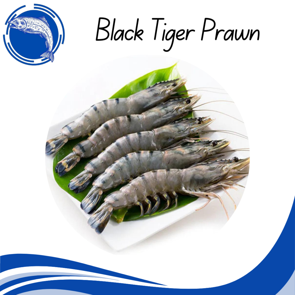 Frozen Seafood Archives - Mos Fresh Trading Sdn Bhd