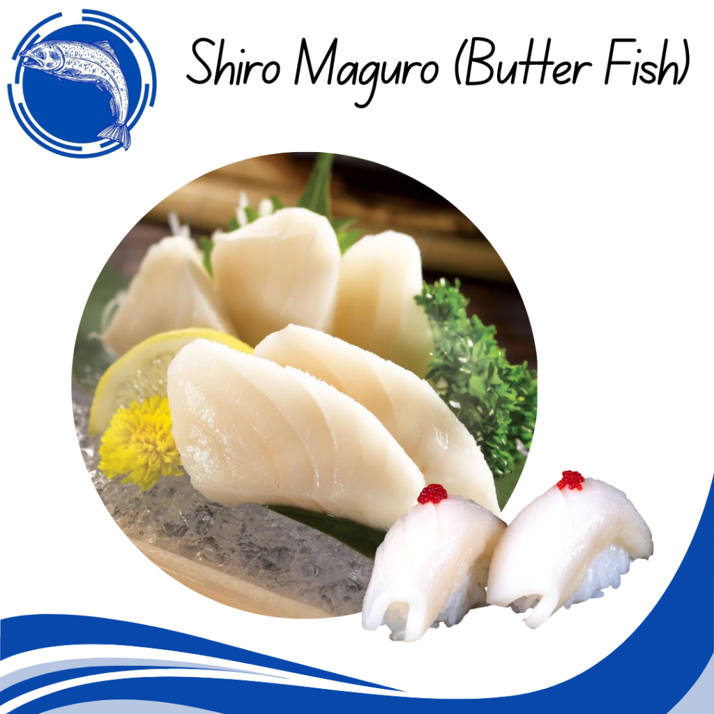 Frozen Shiro Maguro Portion Cut - Mos Fresh Trading Sdn Bhd