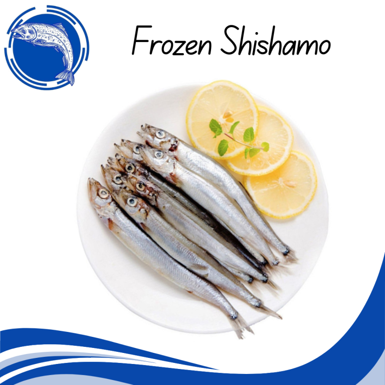 Frozen Shishamo (Capelin Fish) - Mos Fresh Trading Sdn Bhd