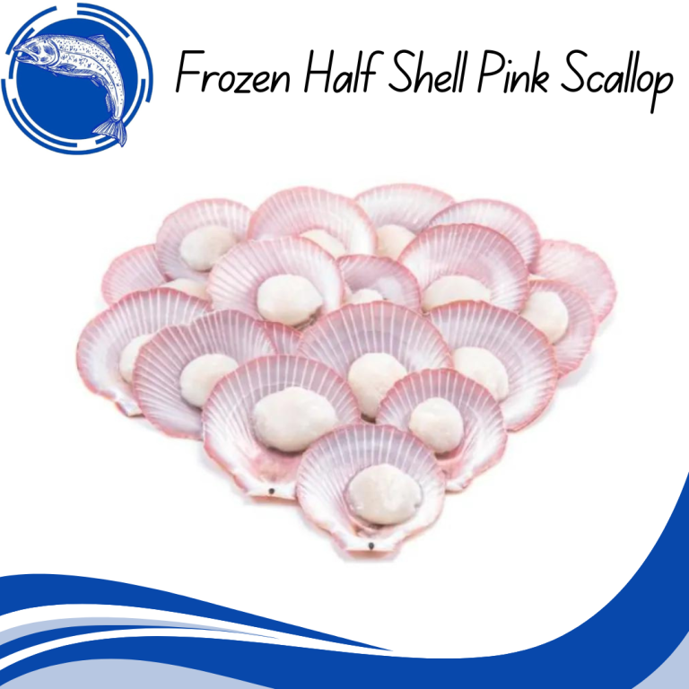Frozen Seafood Archives - Page 3 of 3 - Mos Fresh Trading Sdn Bhd