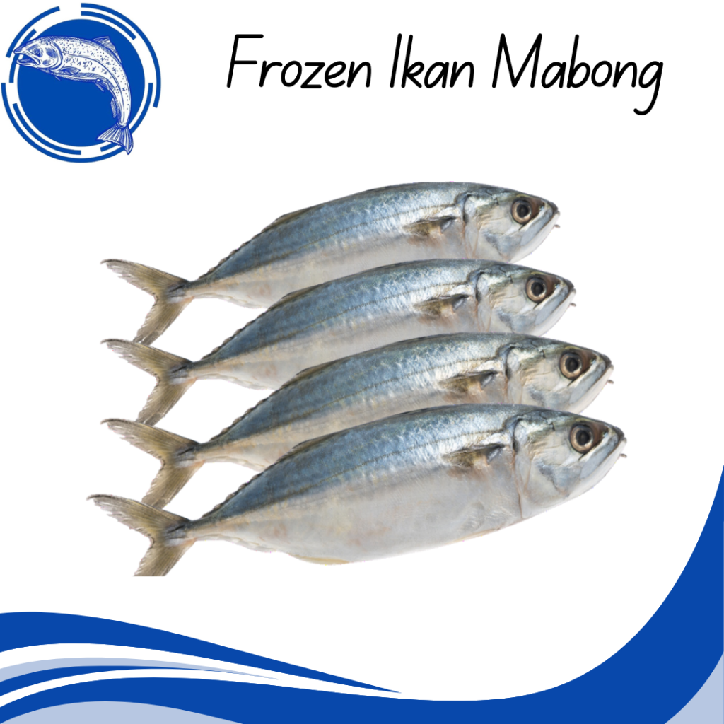 Premium Fresh Fish Seafood Supplier