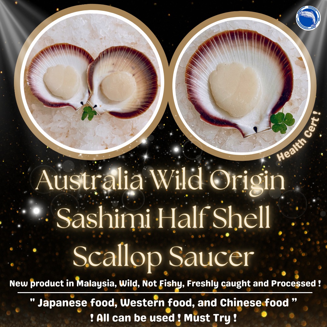 Australia Wild Origin Sashimi Half Shell Scallop Saucer - Mos Fresh ...